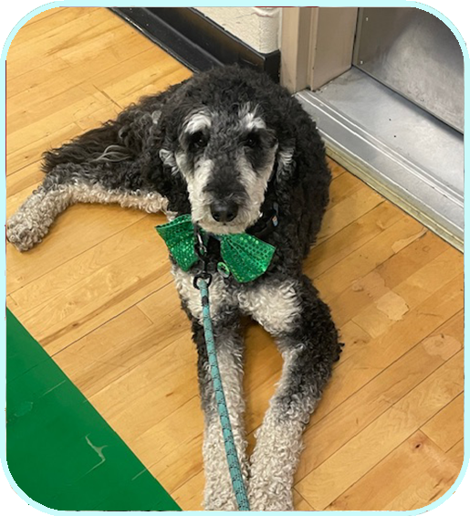 Meet Our Counselors – LIVING PERSPECTIVE COUNSELING